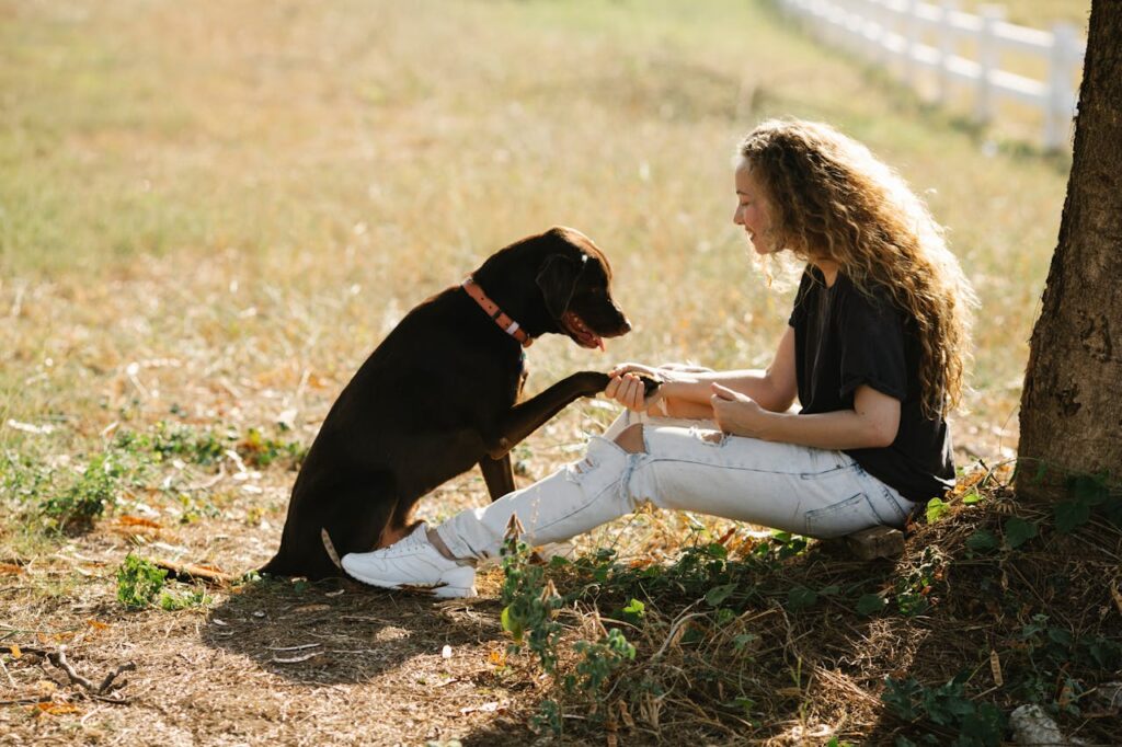 Tips for Teaching Your Dog Basic Commands | Training Guide